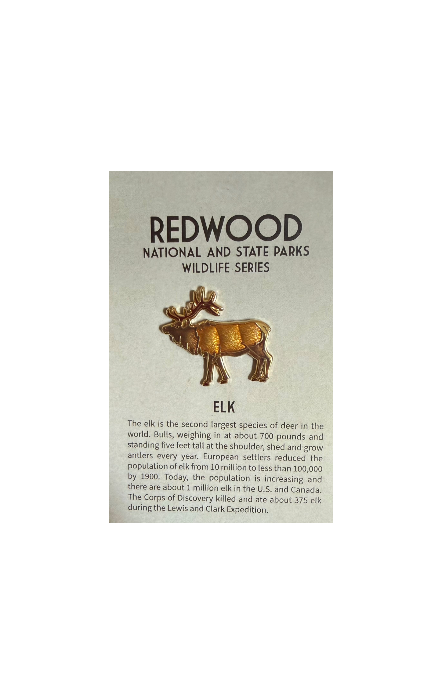 Elk Collector's Pin – Redwood Parks Conservancy