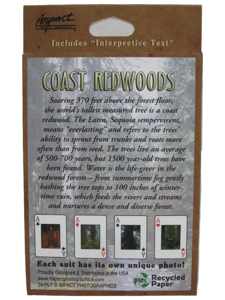 Toys & Games – Redwood Parks Conservancy